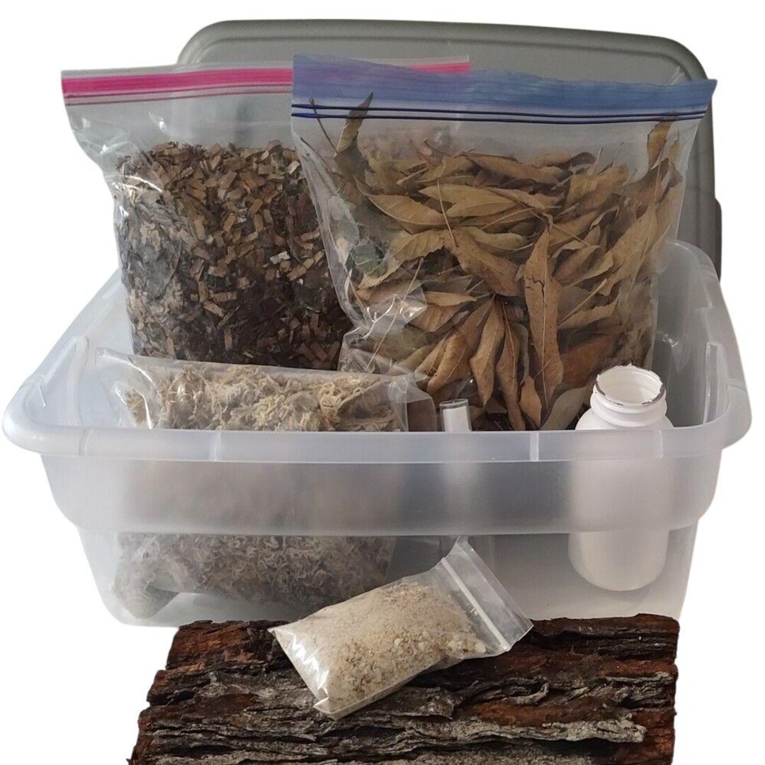 Isopod 12 Quart Isopod Breeding Kit - Etsy