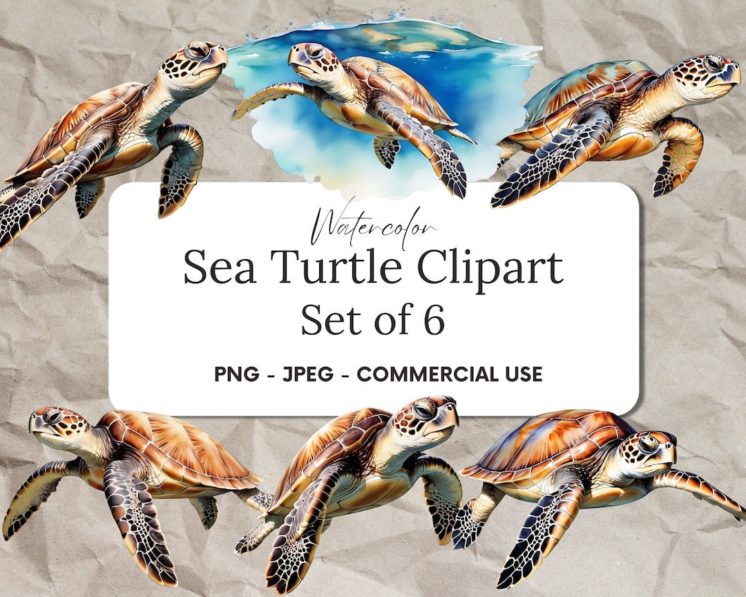Sea Turtle PNG, Watercolor Ocean Life Illustration, Coastal Decor ...