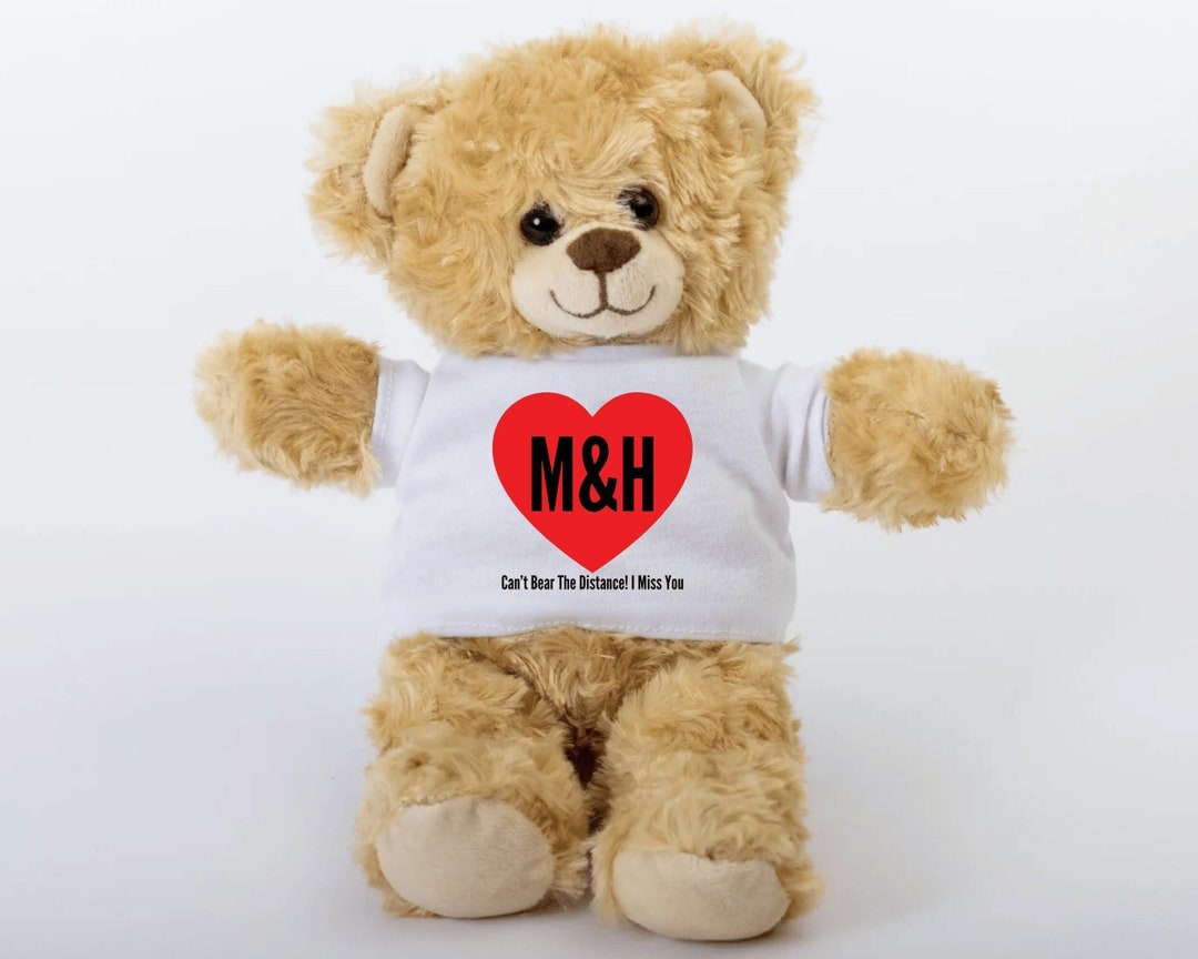 Long Distance Relationship Teddy Bear for Boyfriend, Personalized Teddy ...