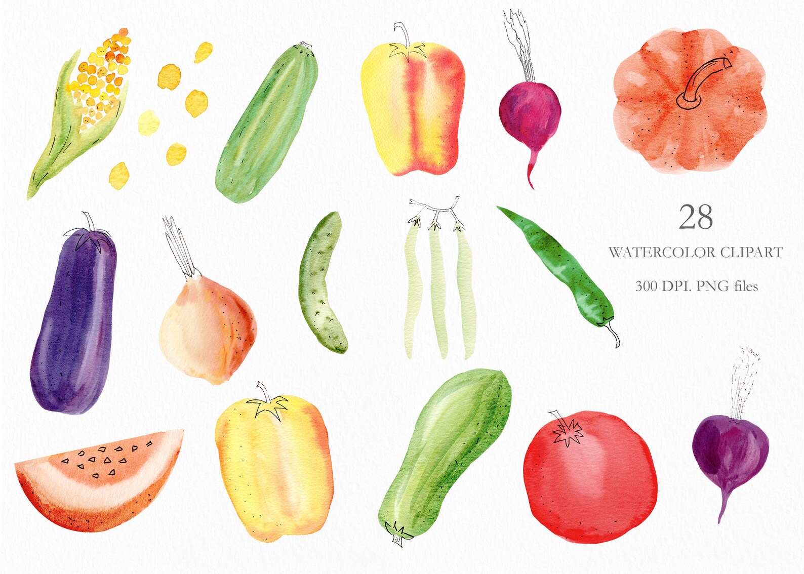 Watercolor Vegetables Clipart Hand Painted Printable Kitchen | Etsy