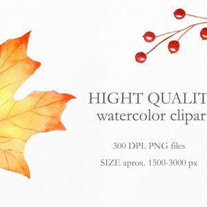 Fall Clipart Set 63 Fall PNG Watercolor Clipart Autumn | Etsy Canada