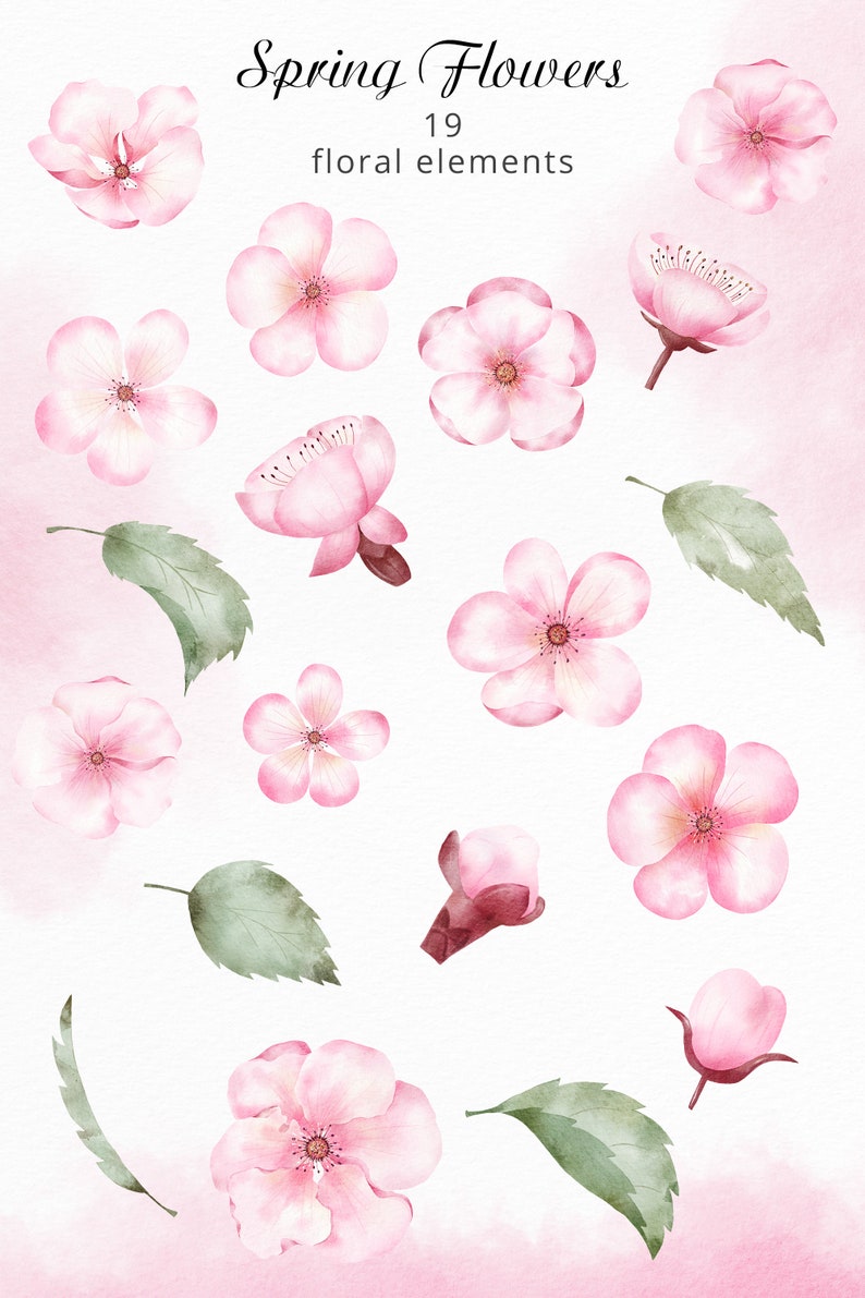Spring Flower Watercolor Clipart Set Pink Flowers PNG & - Etsy