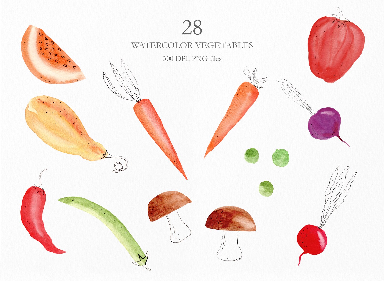 Watercolor Vegetables Clipart Hand Painted Printable Kitchen | Etsy