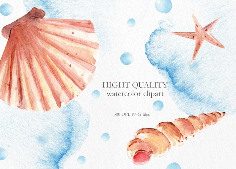 Watercolor Seashell Clip Art, Summer Sea Shells Clipart, Hand Painted ...