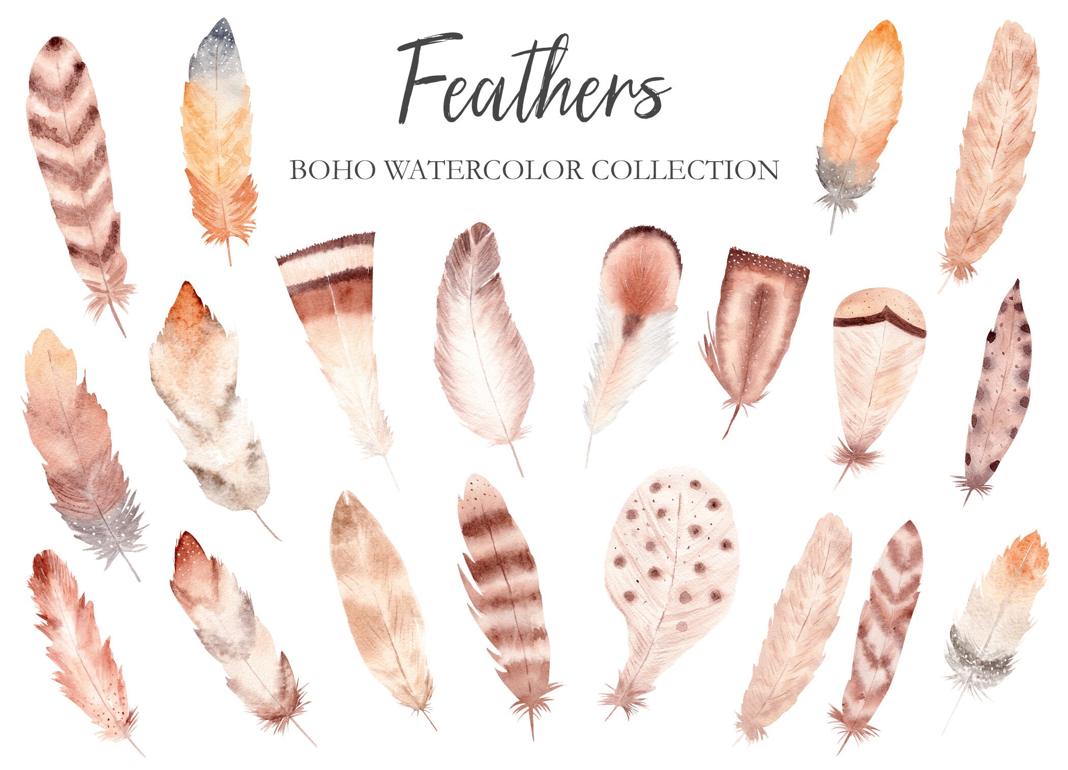 Watercolor Feather Clipart Boho Clip Art Hand Painted Set of | Etsy