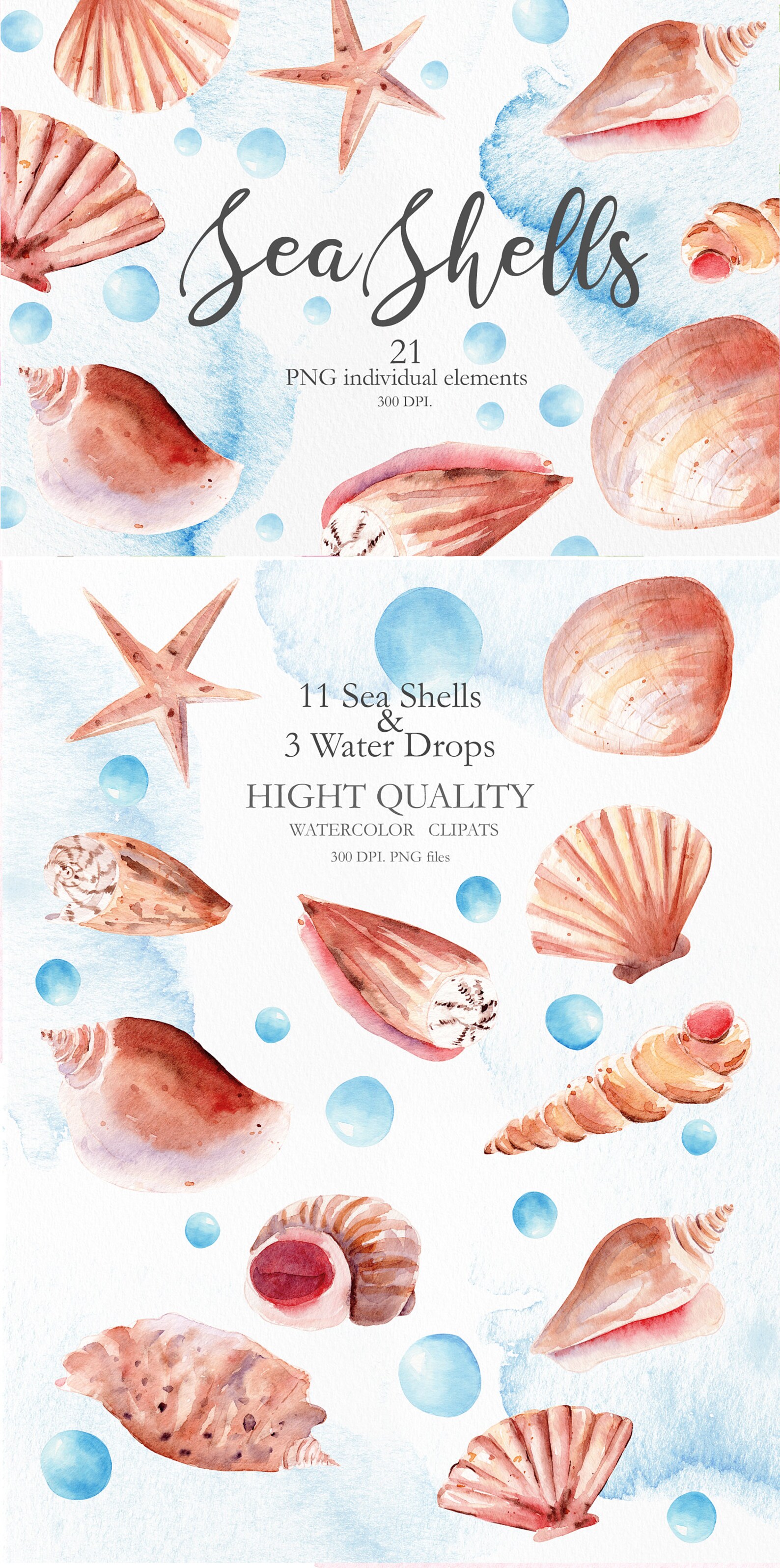 Watercolor Seashell Clip Art Summer Sea Shells Clipart Hand - Etsy