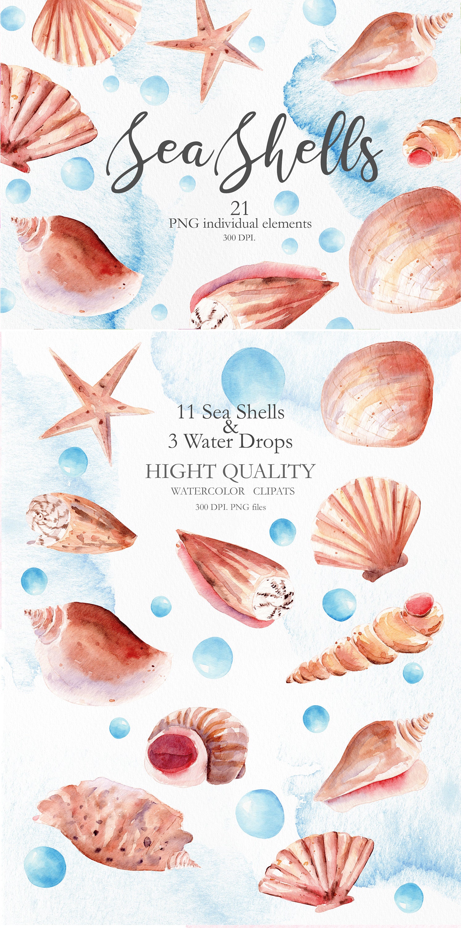 Watercolor Seashell Clip Art Summer Sea Shells Clipart Hand - Etsy