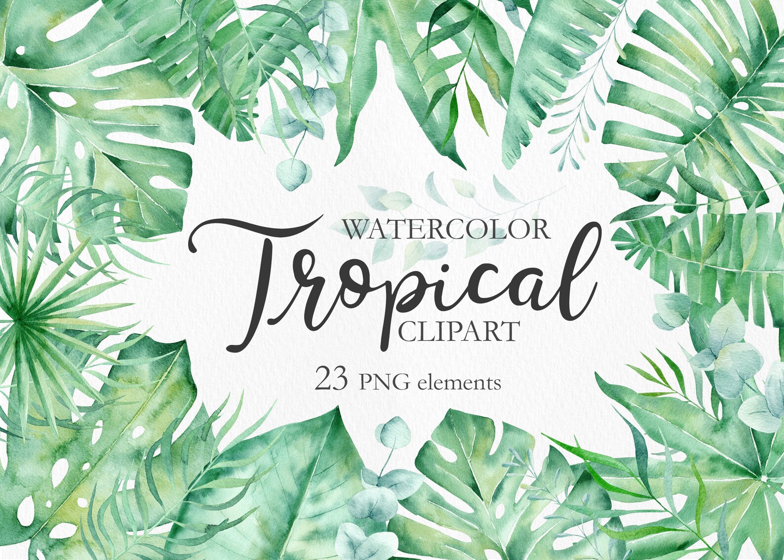 Tropical Leaves Watercolor Clipart. Watercolor Monstera Clip - Etsy