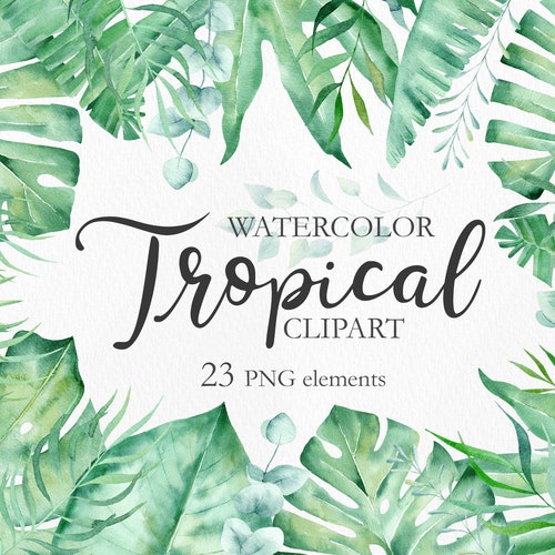 Watercolor Tropical Leaves Clipart Monstera Leaves Clipart - Etsy
