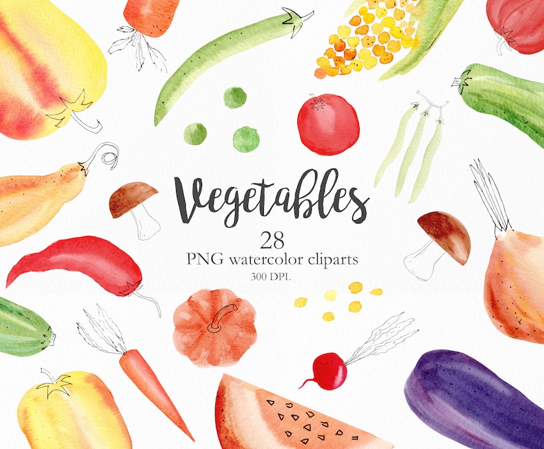 Watercolor Vegetables Clipart Hand Painted Printable Kitchen | Etsy