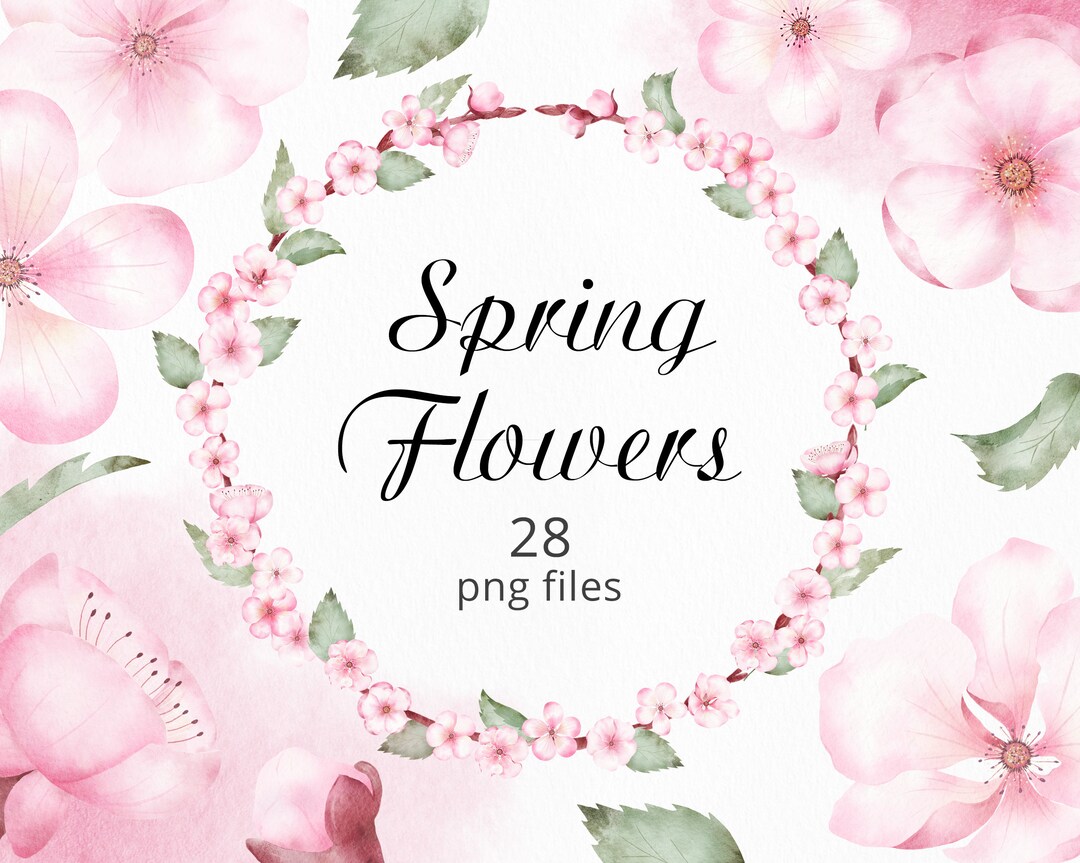 Spring Flower Watercolor Clipart Set, Pink Flowers PNG & Watercolor ...
