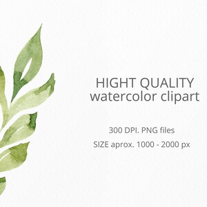 Watercolor Greenery Clipart, Eucalyptus Foliage Clip Art, Greenery ...