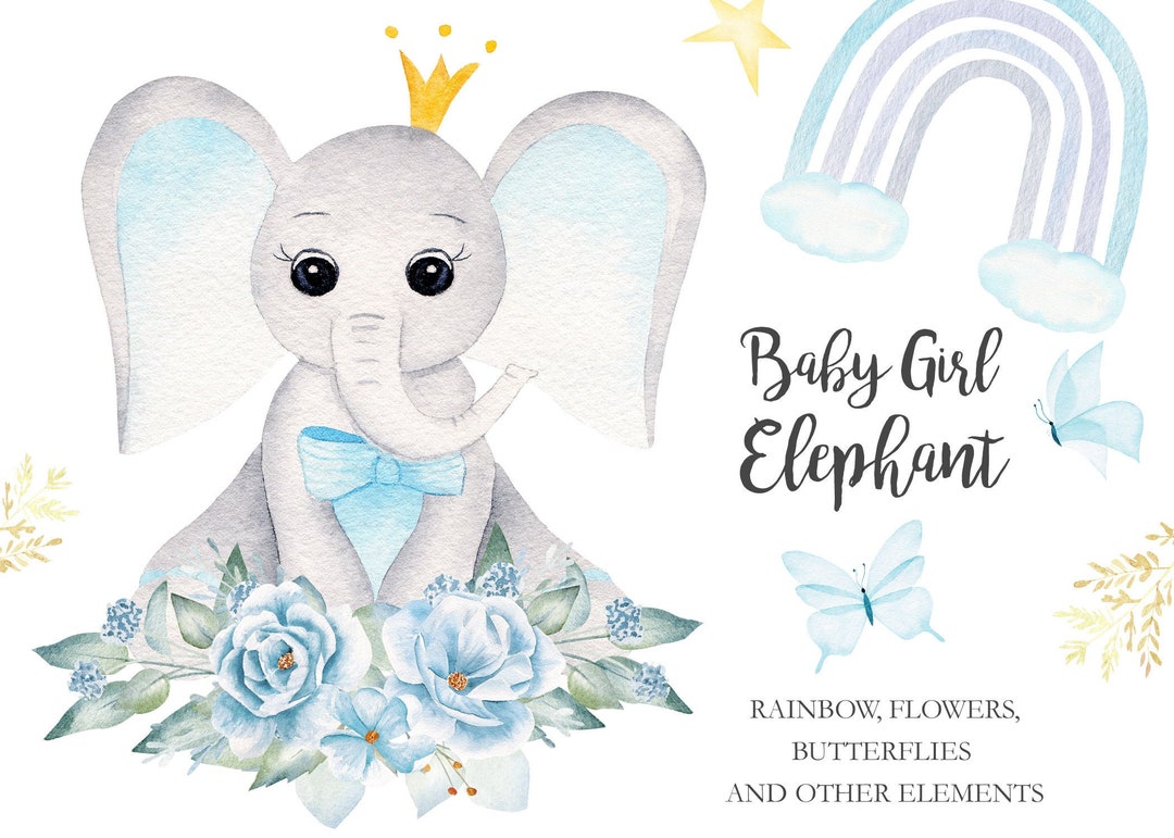 Baby Boy Elephant Watercolor Clipart. Rainbow, Flower and Butterly Clip ...