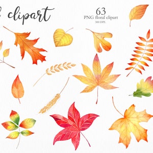 Fall Clipart Set 63 Fall PNG Watercolor Clipart Autumn | Etsy Canada
