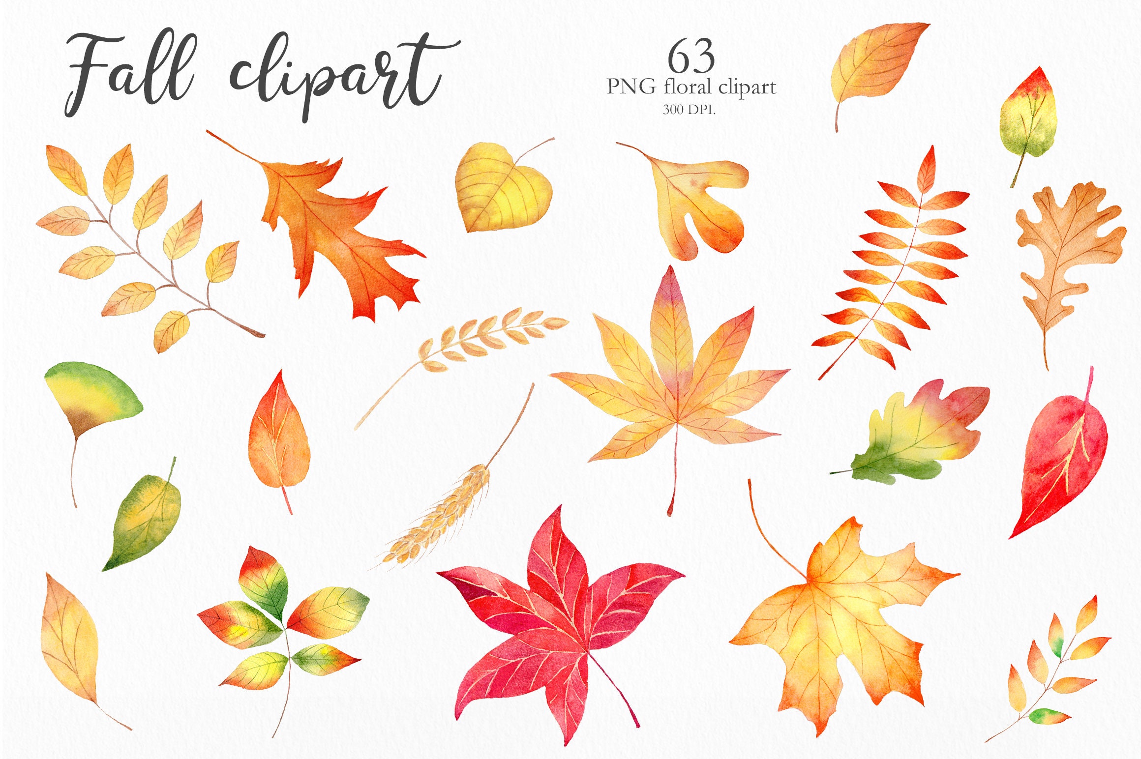 Fall Clipart Set 63 Fall PNG Watercolor Clipart Autumn - Etsy Canada