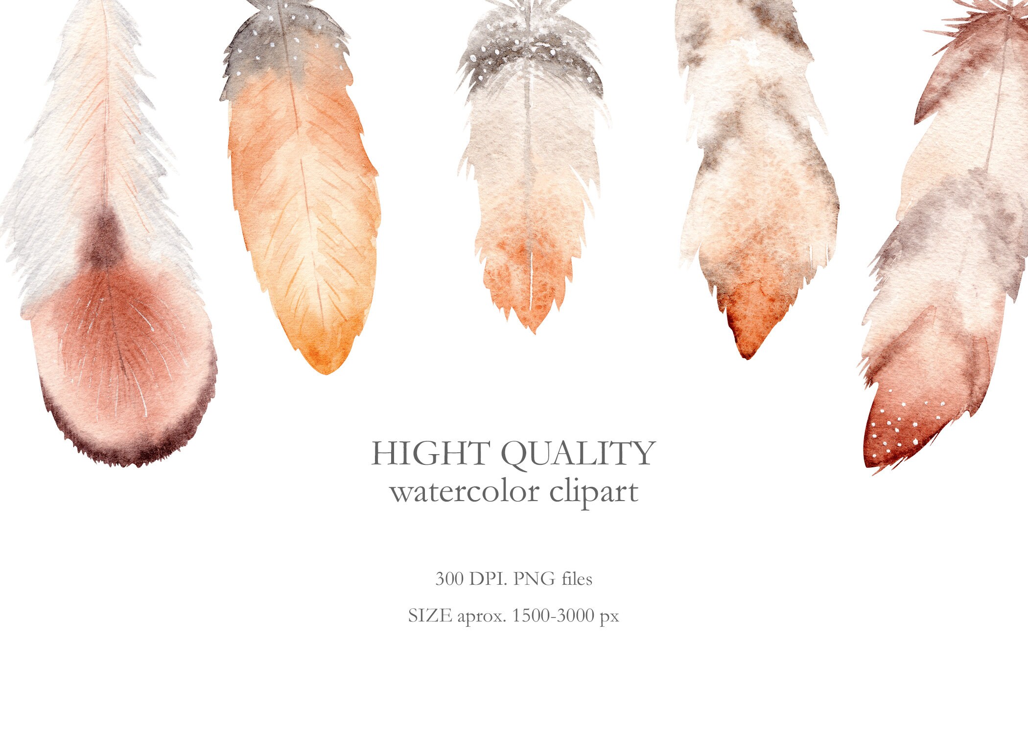 Watercolor Feather Clipart Boho Clip Art Hand Painted Set of | Etsy