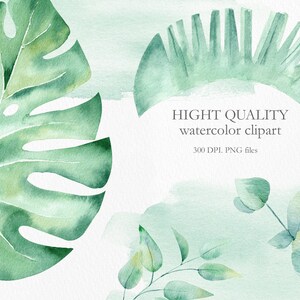 Tropical Leaves Watercolor Clipart. Watercolor Monstera Clip Art ...