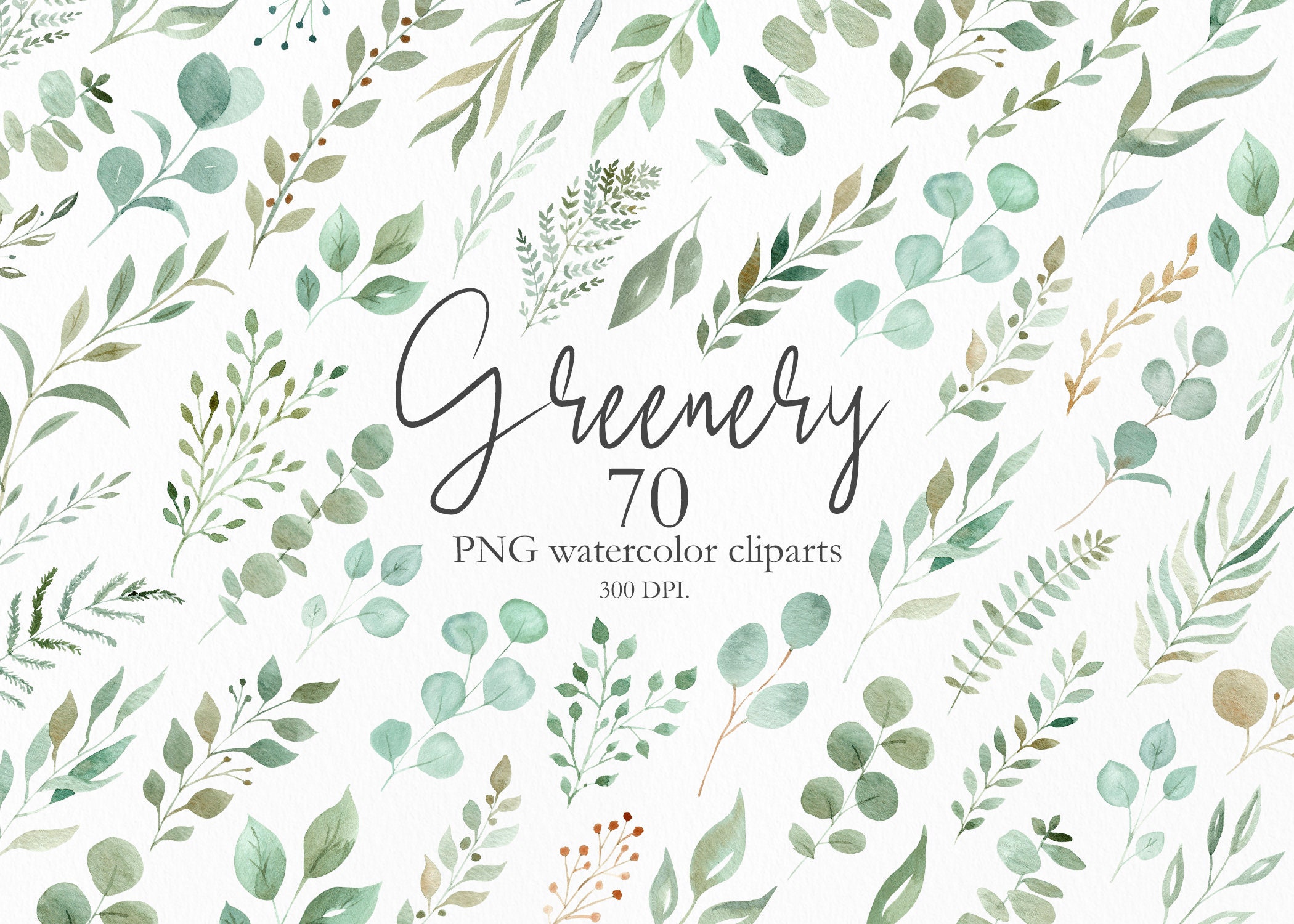 Watercolor Greenery Clipart Green Eucalyptus Foliage Clip - Etsy