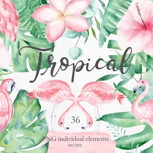 Watercolor Tropical Leaves Clipart Monstera Leaves Clipart - Etsy