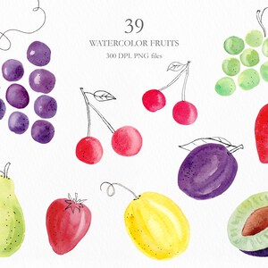 Watercolor Fruits Clipart, Kitchen Clip Art, Summer Tropical Hand ...