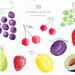 Watercolor Fruits Clipart, Kitchen Clip Art, Summer Tropical Hand ...