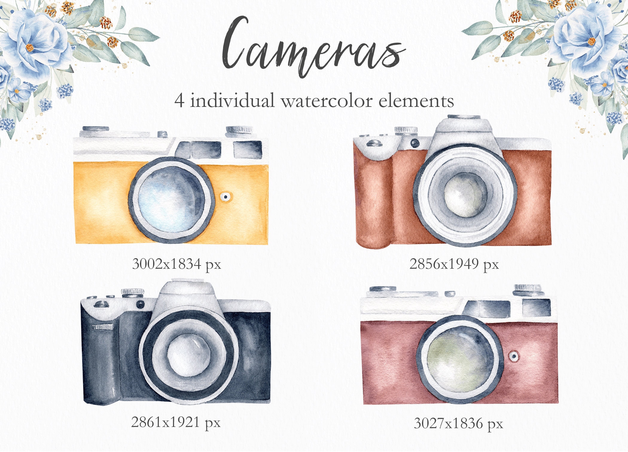 Watercolor Floral Vintage Camera Clipart, Hand Painted Polaroid Retro ...