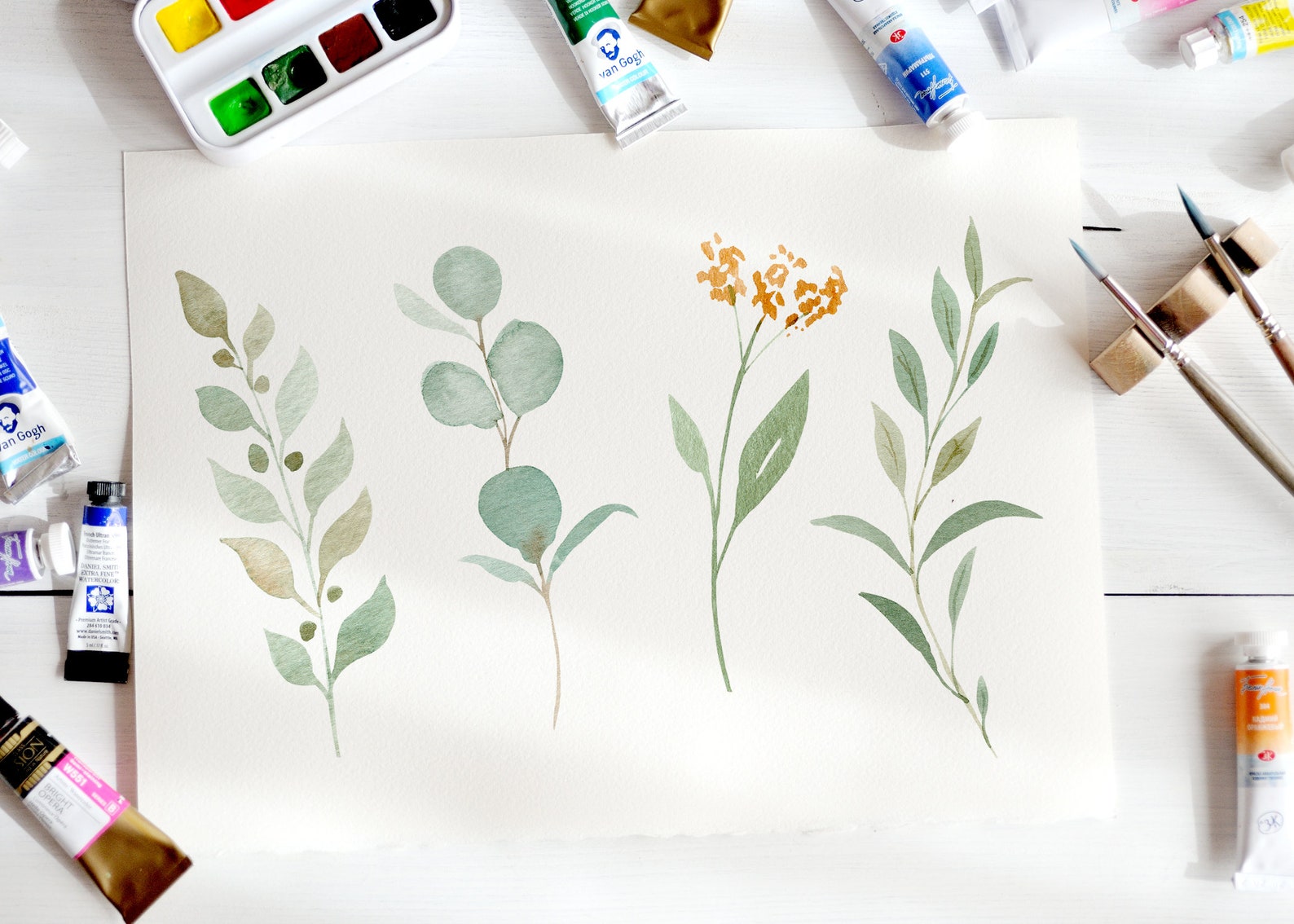 Watercolor Greenery Clipart Green Eucalyptus Foliage Clip - Etsy