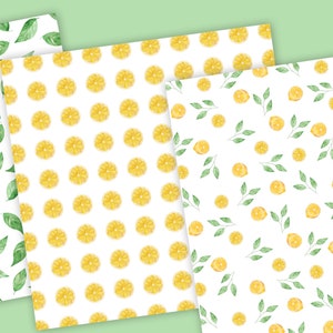Watercolor Lemon Seamless Patterns . Set of 15 Lemon Digital Paper ...