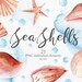Watercolor Seashell Clip Art, Summer Sea Shells Clipart, Hand Painted ...