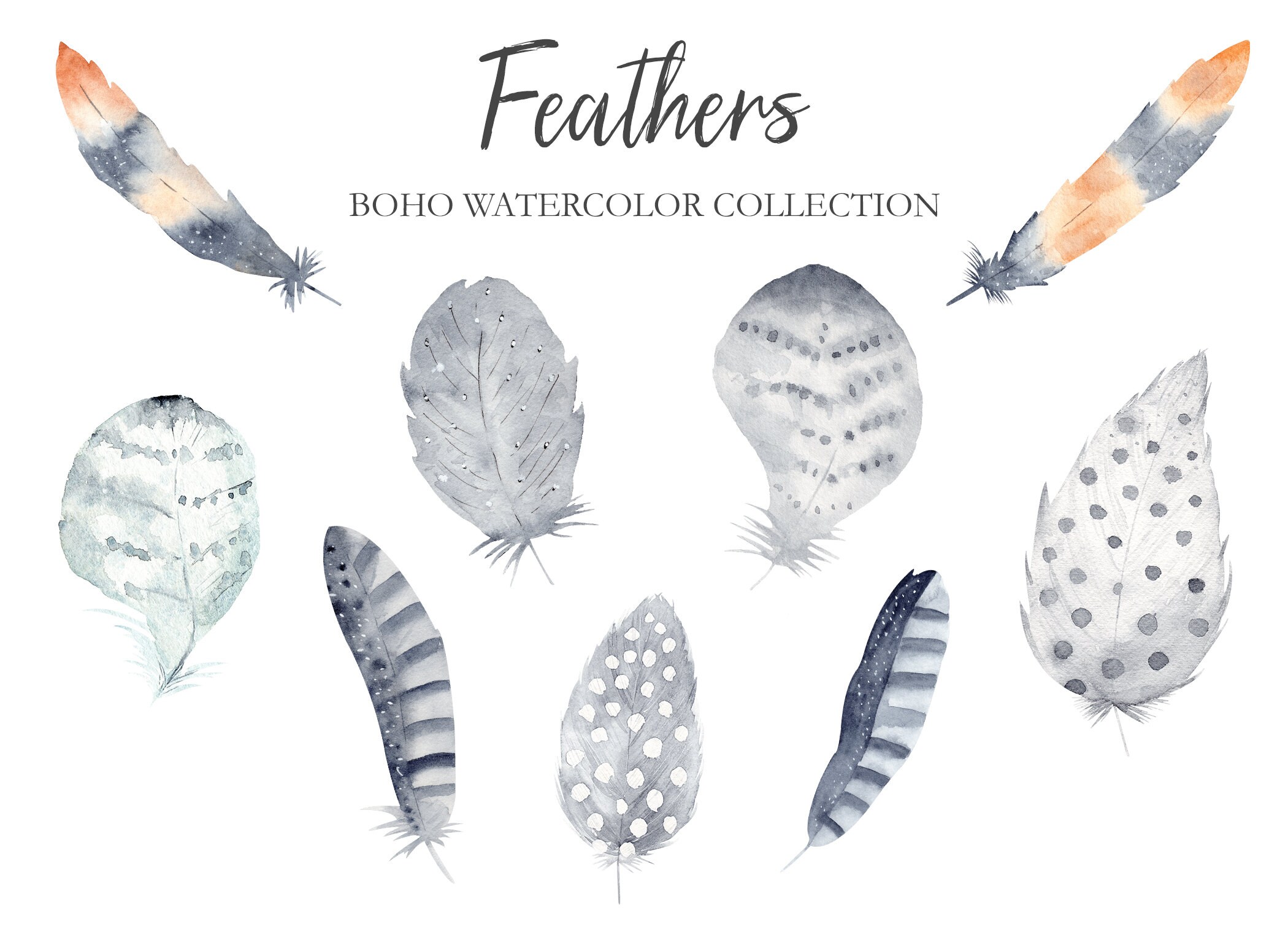 Watercolor Feather Clipart Boho Clip Art Hand Painted Set of | Etsy