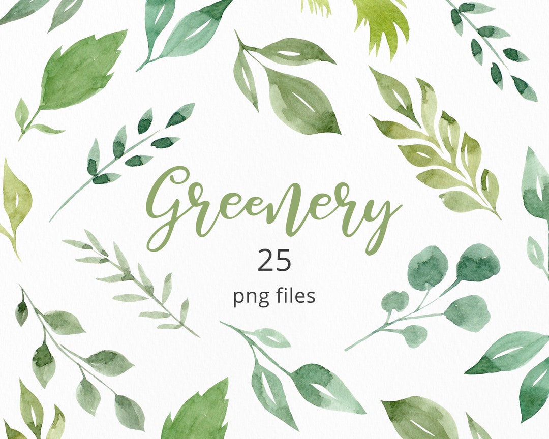 Watercolor Greenery Clipart, Eucalyptus Foliage Clip Art, Greenery ...