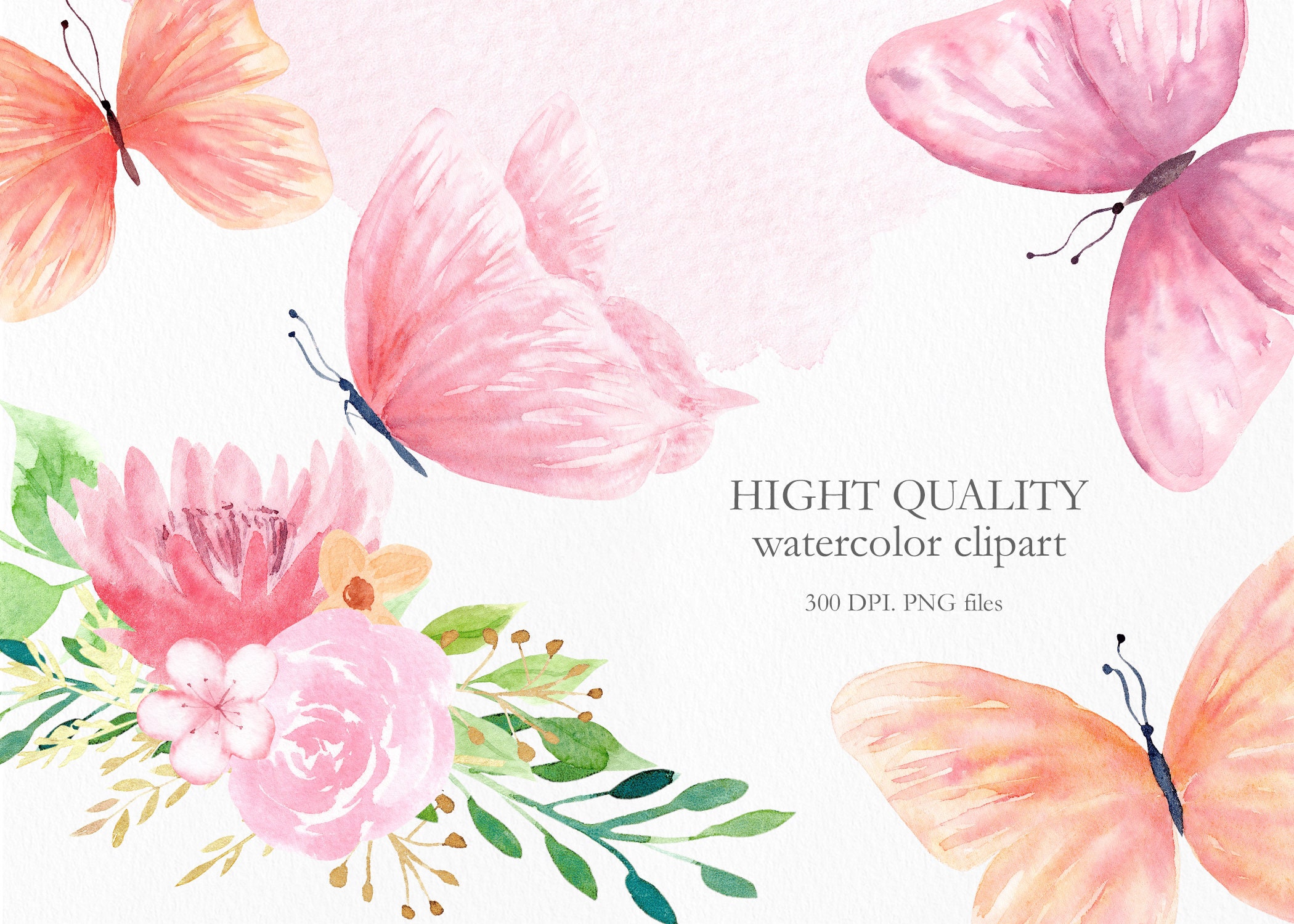 Watercolor Summer Butterfly Clipart 55 Floral Elements and - Etsy
