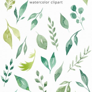 Watercolor Greenery Clipart, Eucalyptus Foliage Clip Art, Greenery ...