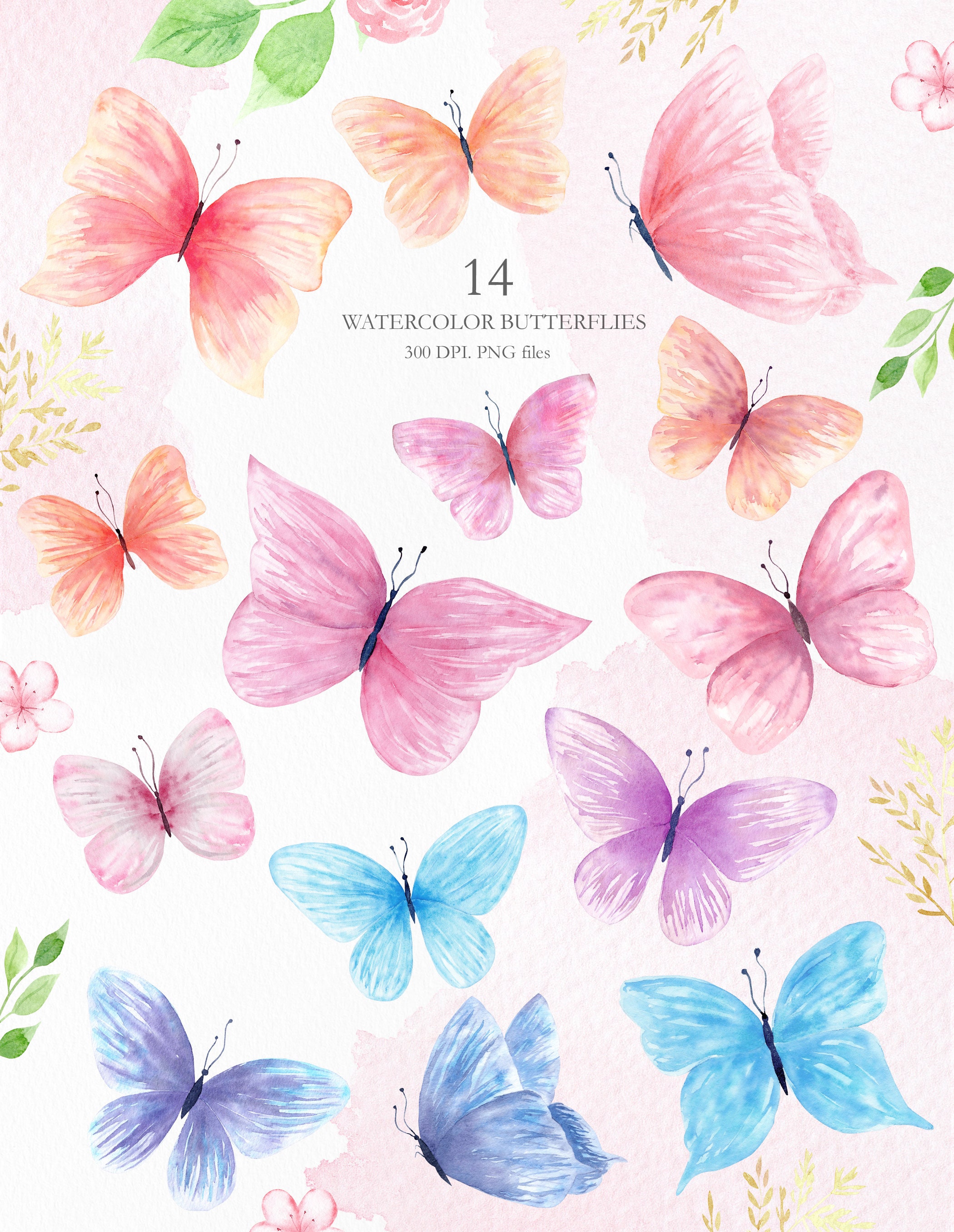 Watercolor Summer Butterfly Clipart 55 Floral Elements and - Etsy