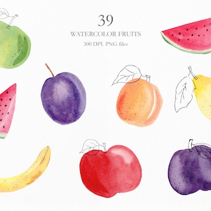 Watercolor Fruits Clipart, Kitchen Clip Art, Summer Tropical Hand ...
