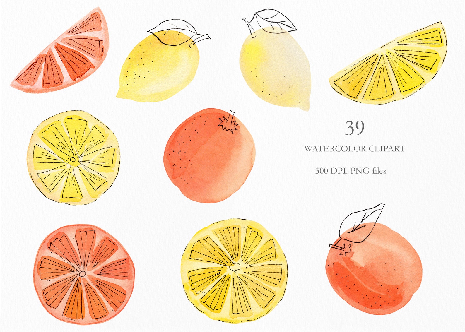 Watercolor Fruits Clipart Kitchen Clip Art Summer Tropical | Etsy