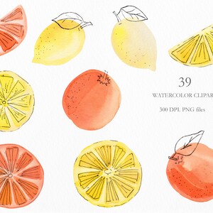 Watercolor Fruits Clipart, Kitchen Clip Art, Summer Tropical Hand ...