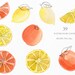 Watercolor Fruits Clipart, Kitchen Clip Art, Summer Tropical Hand ...