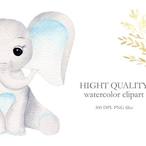 Baby Boy Elephant Watercolor Clipart. Rainbow Flower and - Etsy
