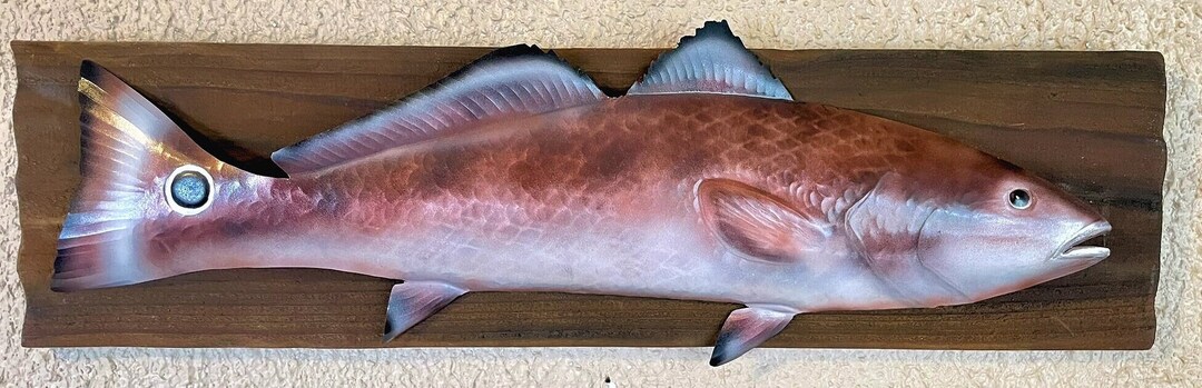 Redfish Wall Art - Etsy