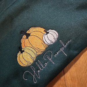 Hello Pumpkin Sweatshirt, Pumpkin Embroidered Sweatshirt, Pumpkin ...
