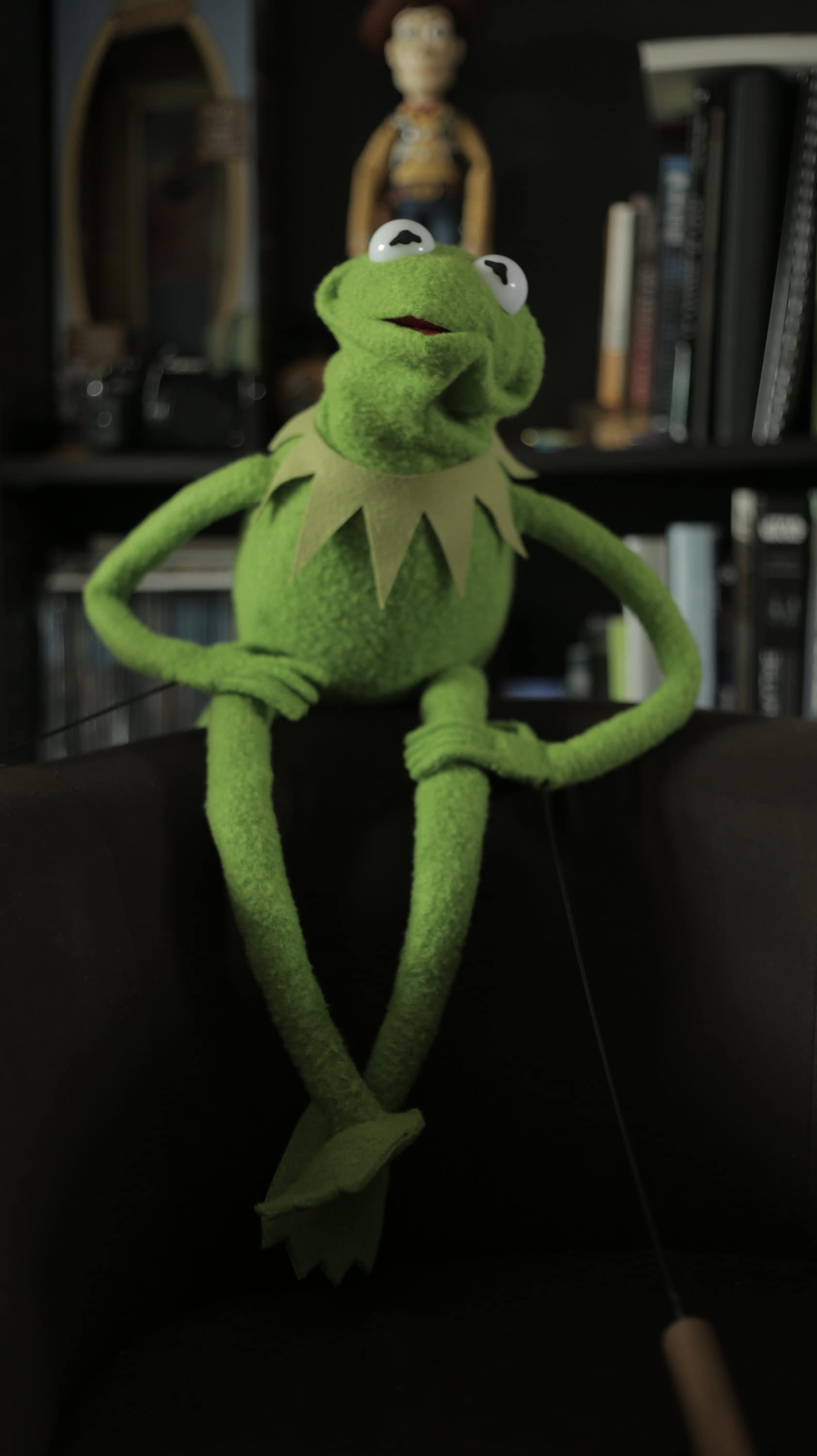 Kermit the Frog Puppet Replica - Etsy