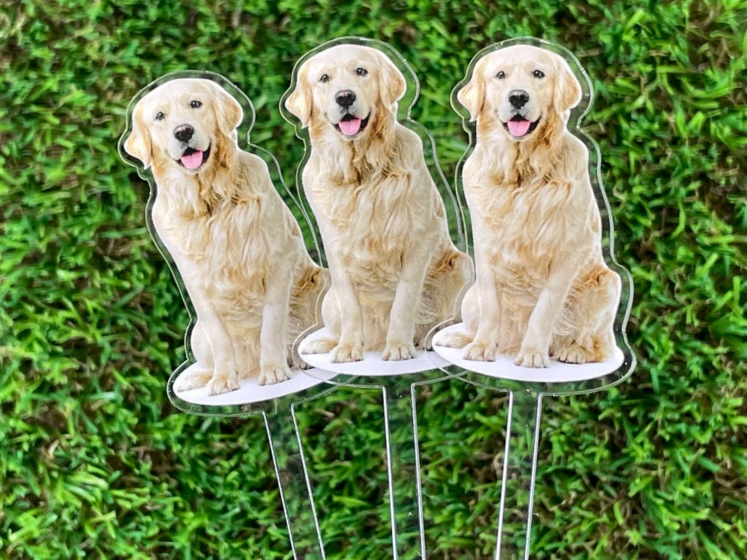 Print YOUR Dog Stir Sticks, Personalized Cocktail Stirrers, Signature I ...