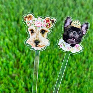 Printed Signature Dog Pet Stir Stick, I Do Too & Dog of Honor, Tuxedo ...