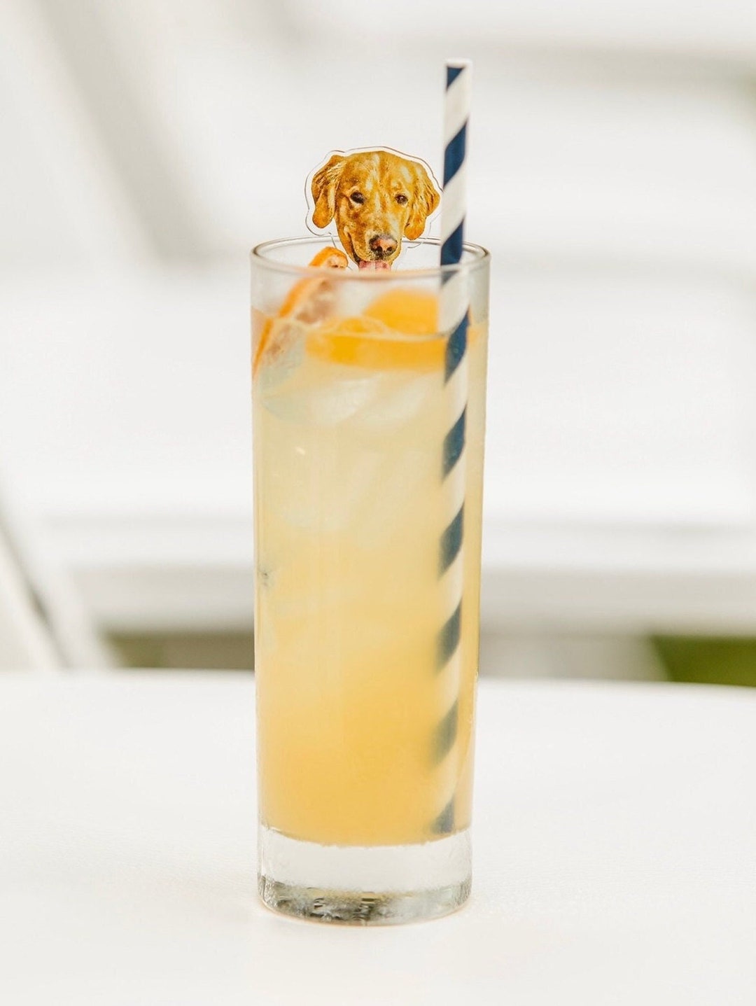 Printed Signature Dog Pet Stir Stick, I Do Too & Dog of Honor ...