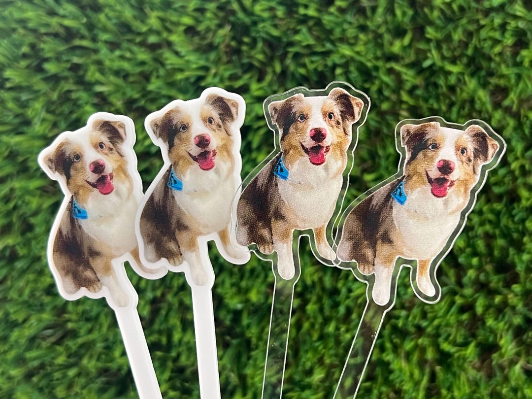 Pet Stir Stick, Dog Signature Drink, Pet Drink Stirrer for Wedding ...