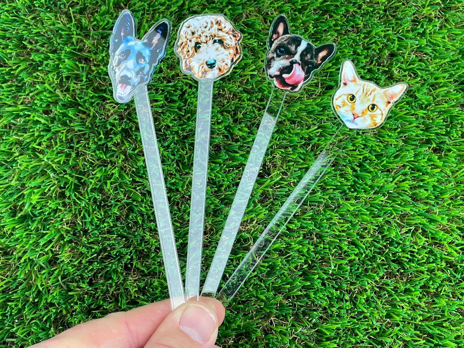 Print YOUR Dog Pet Stir Sticks, 2-sided Signature Drink, I Do Too & Dog ...