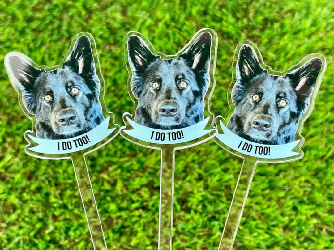 Print YOUR Dog Pet Stir Sticks, Signature Drink, I Do Too & Dog of ...