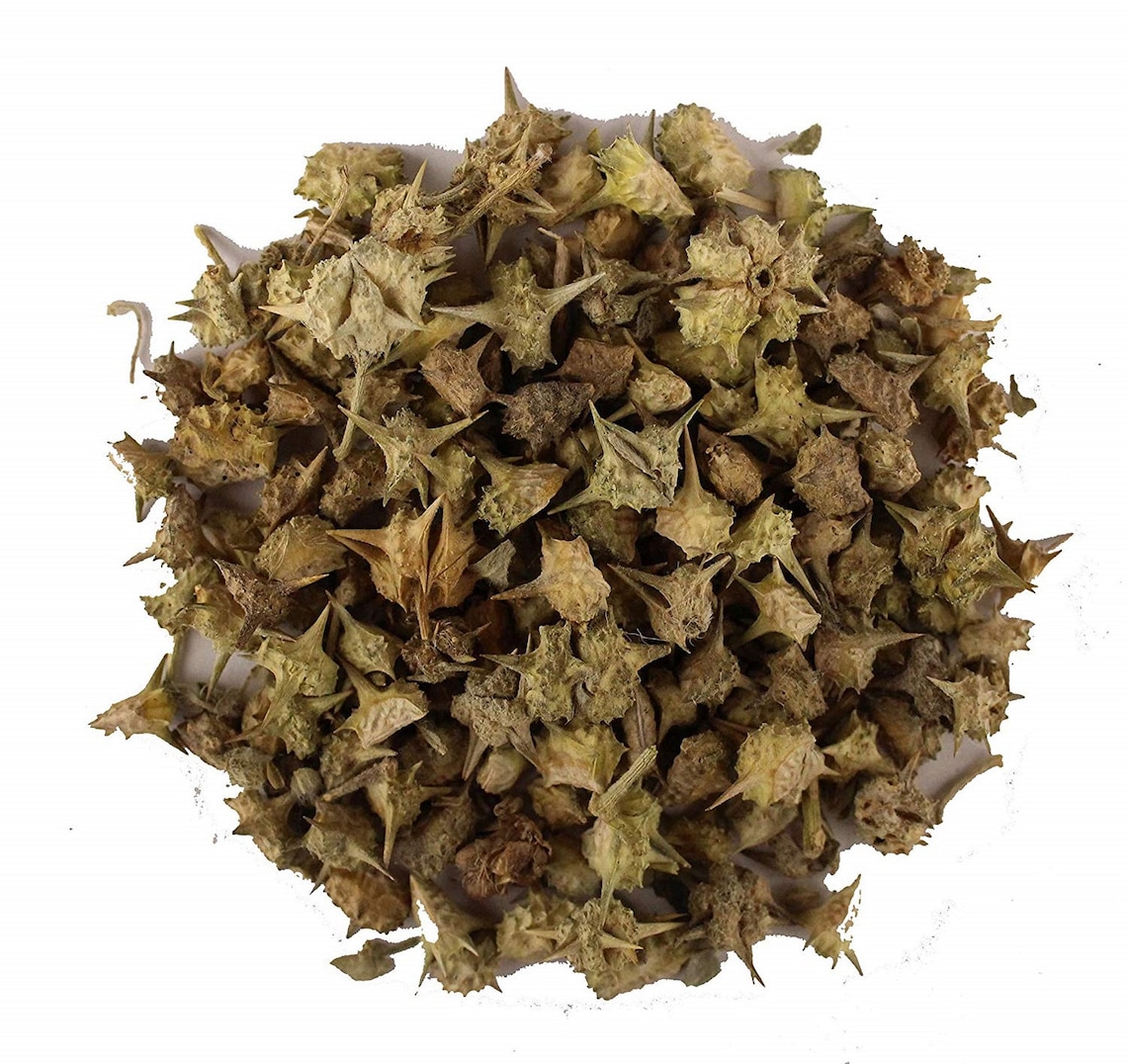 100g Certified Organic Gokhru Powder tribulus Terrestris | Etsy