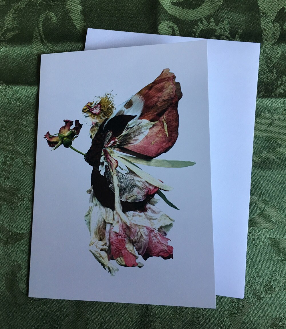 Faeries From Flowers, Art by Zella, 5X7 Fairy Note Cards With Envelopes ...